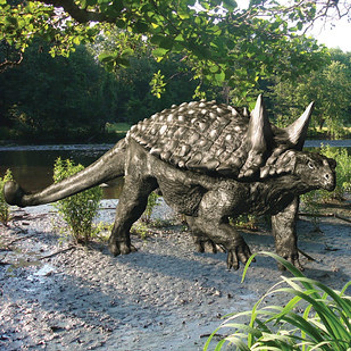 Dünyaca Ünlü Kişilerin İsimlerinden Esinlenerek Adlandırılmış 24 Tuhaf ...