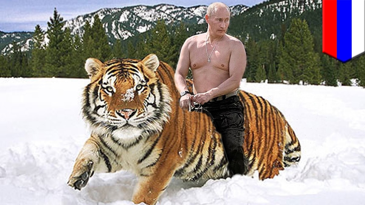23 Things That Russian President Vladimir Putin Is Riding - Onedio