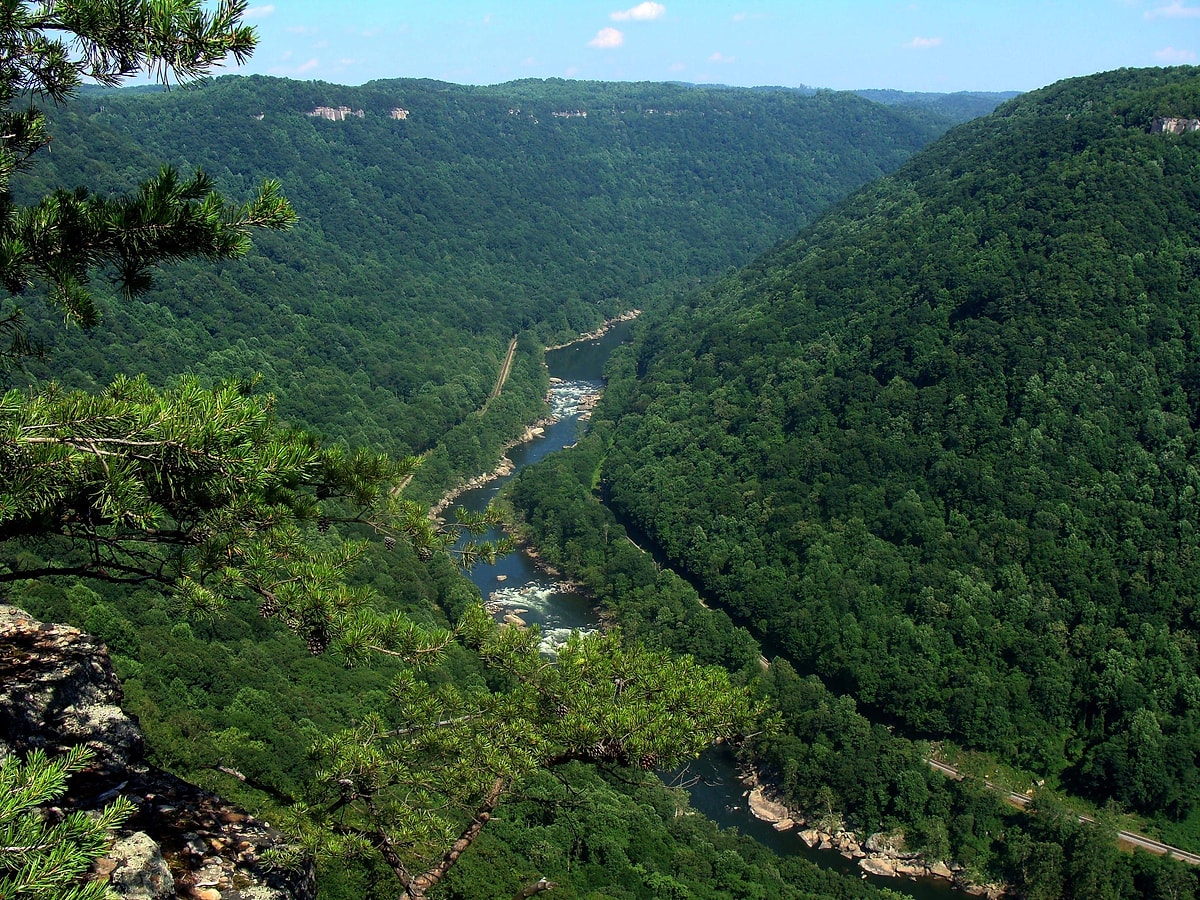 Nehir İşte Ne Gizemi Olacak Diyenleri Bile Şaşırtacak 22 Bilgi - Onedio
