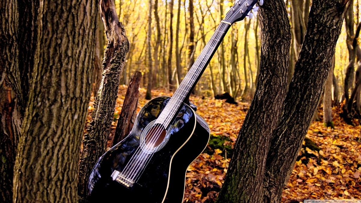 Albenisi Yüksek Olan Müzik Enstrümanlarının Olduğu 110 Harika Fotoğraf ...