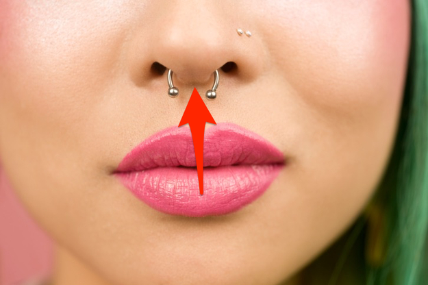 16 Weird Body Parts You Have But Don t Know The Names Of 16-weird-body-parts-you-have-but-don-t-know-the-names-of