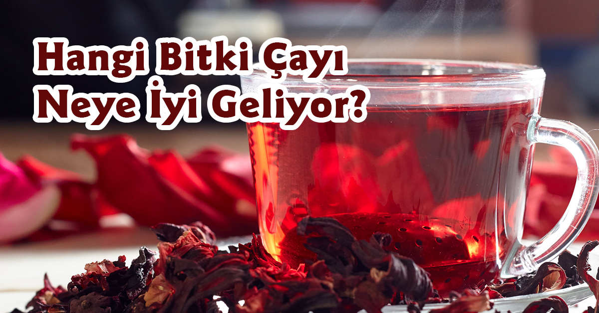 Hangi Bitki Çayı Neye İyi Geliyor? Bitki Çaylarının Saymakla Bitmeyen ...