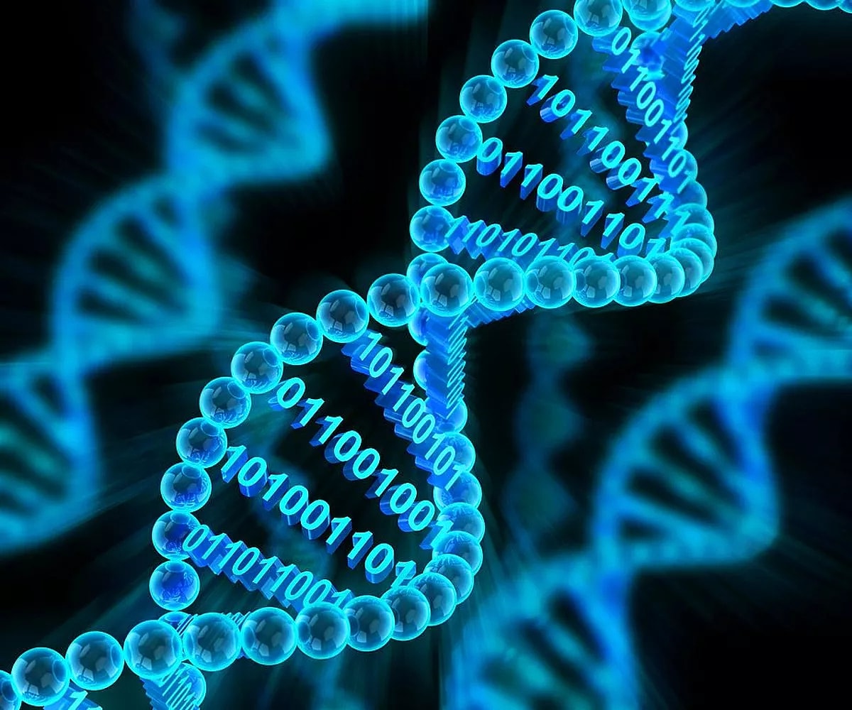 DNA Testi Nedir, Nasıl Yapılır? DNA Test Sonuçları Ne Zaman Çıkar? - Onedio