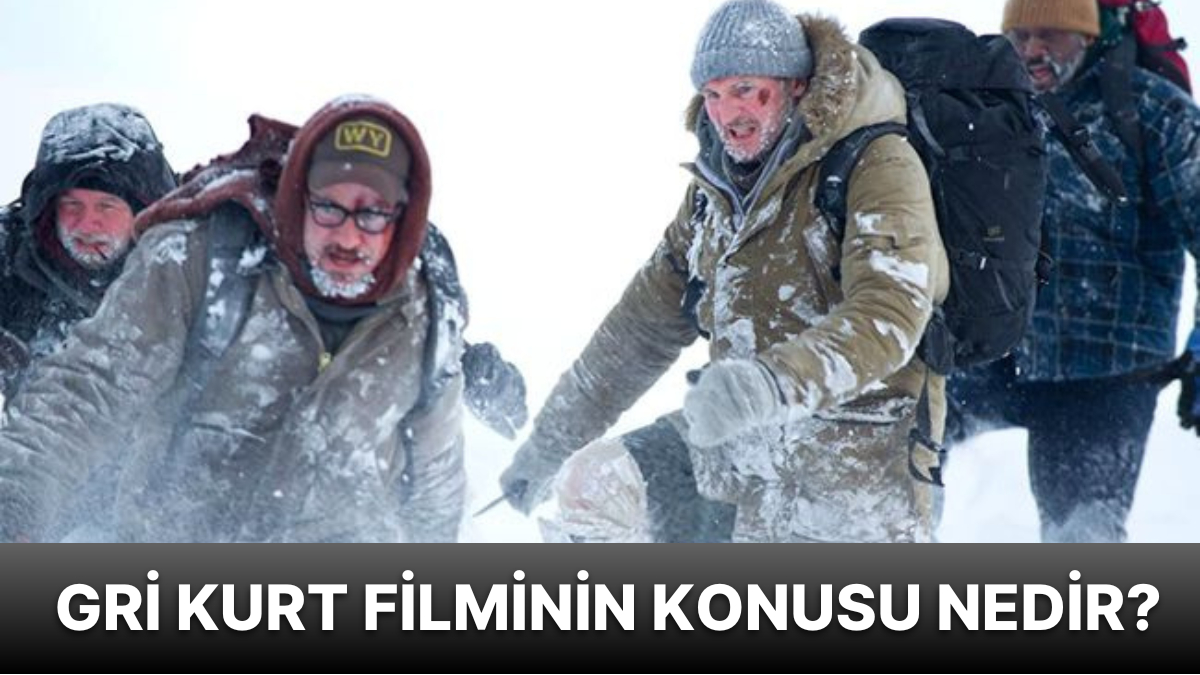 Gri Kurt Filmi Ne Anlatıyor? Oyuncuları Kimlerdir? - Onedio