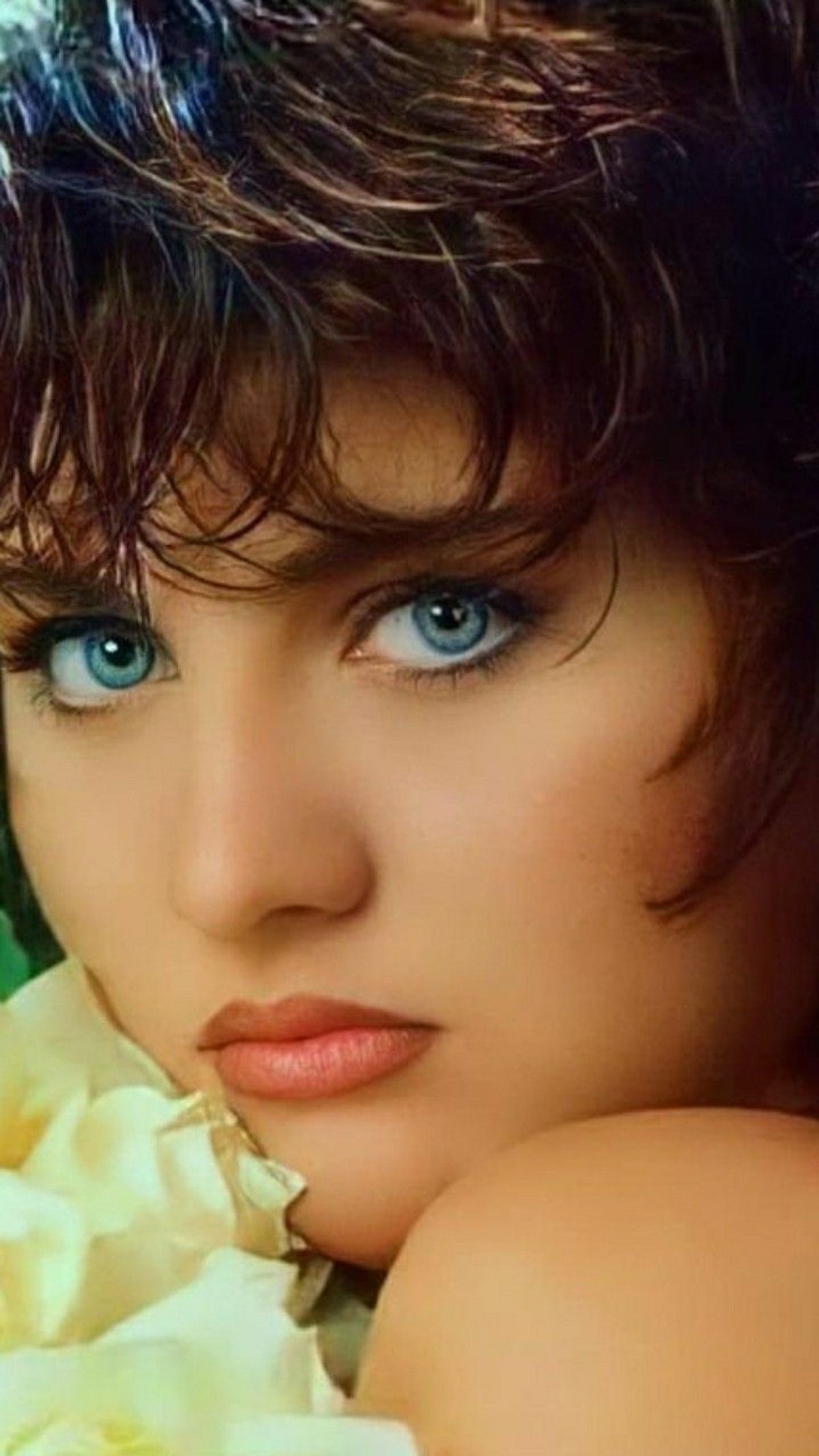 Sibel Can'ın Assolistliğe Başlaması - Onedio