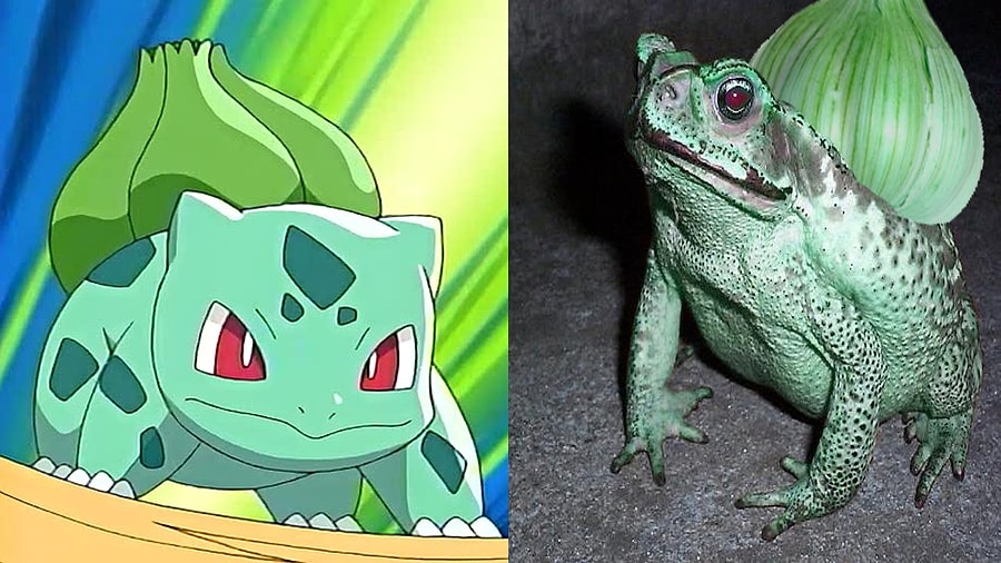 20 Pokemon Based on Rare Real-life Animals: The Uncanny Resemblance ...