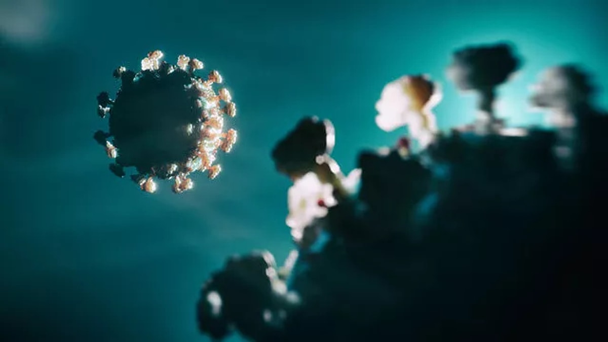 Deve Gribi (MERS) Nedir? Deve Gribi Belirtileri - Onedio