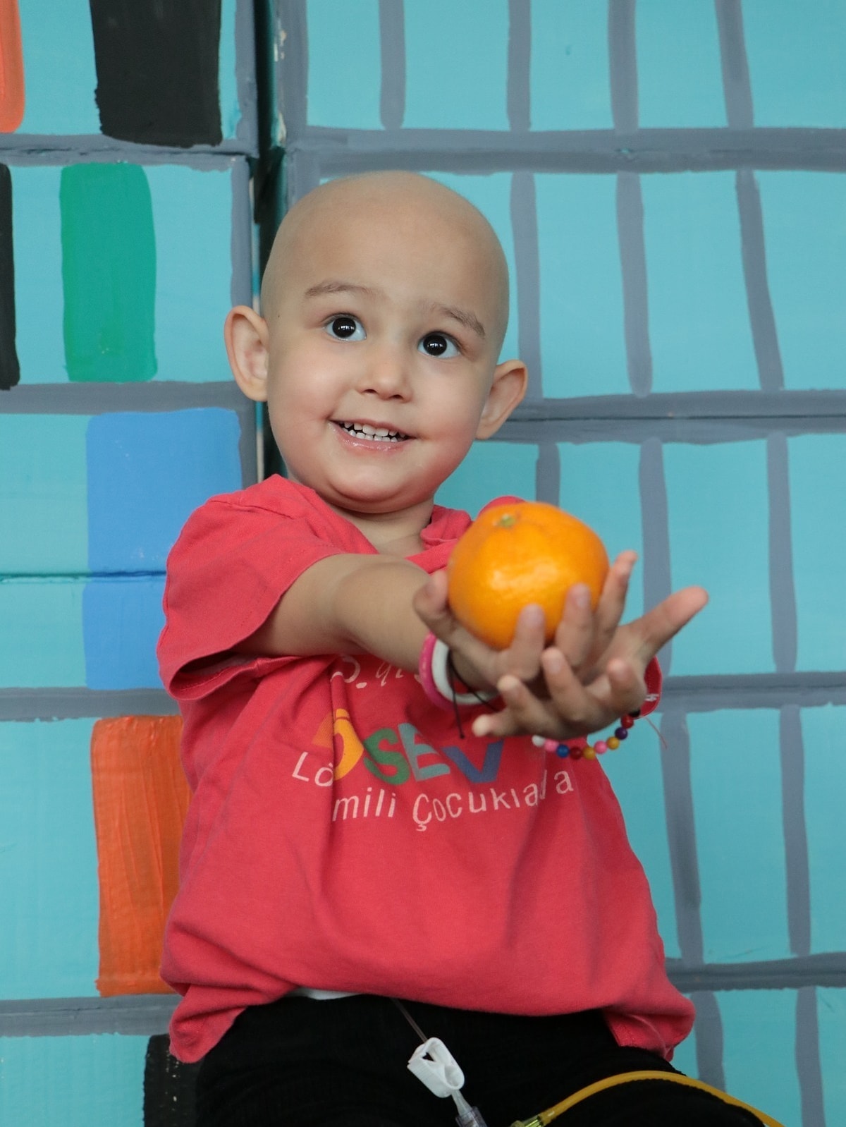 Her Diliminde Hayat Var! LÖSEV Satsuma Mandalinası Satışı Başladı - Onedio