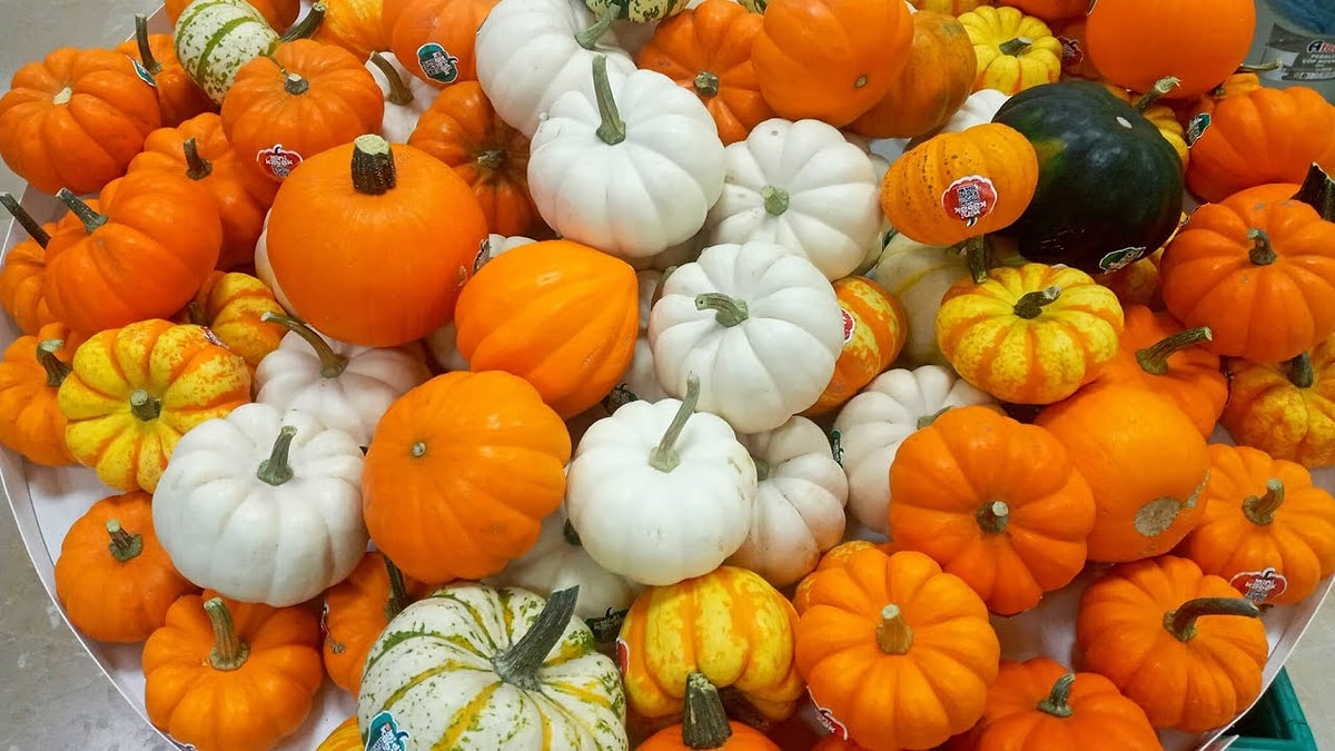 Kesinlikle Bilmeniz Gereken Ortaçağ Kelimeleri - Onedio