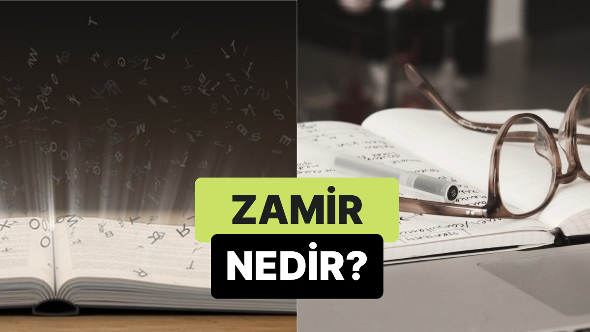 Varlıkların İsmi Yerine Kullanılan Sözcükler: Zamir Nedir? - Onedio