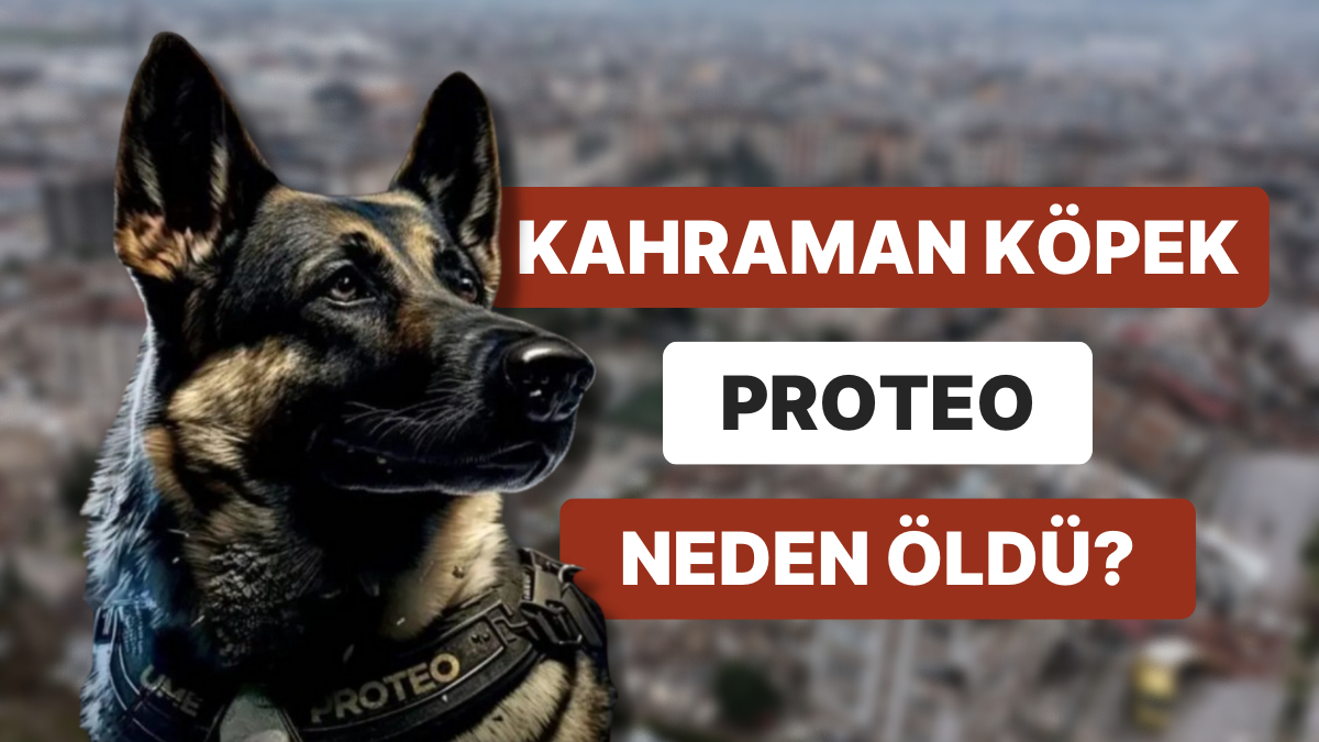 Proteo Neden Öldü? - Onedio