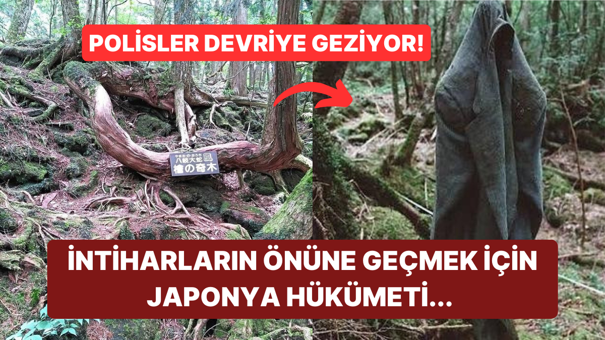 İntihar Ormanı Aokigahara'nın Kan Donduran Tarihi - Onedio