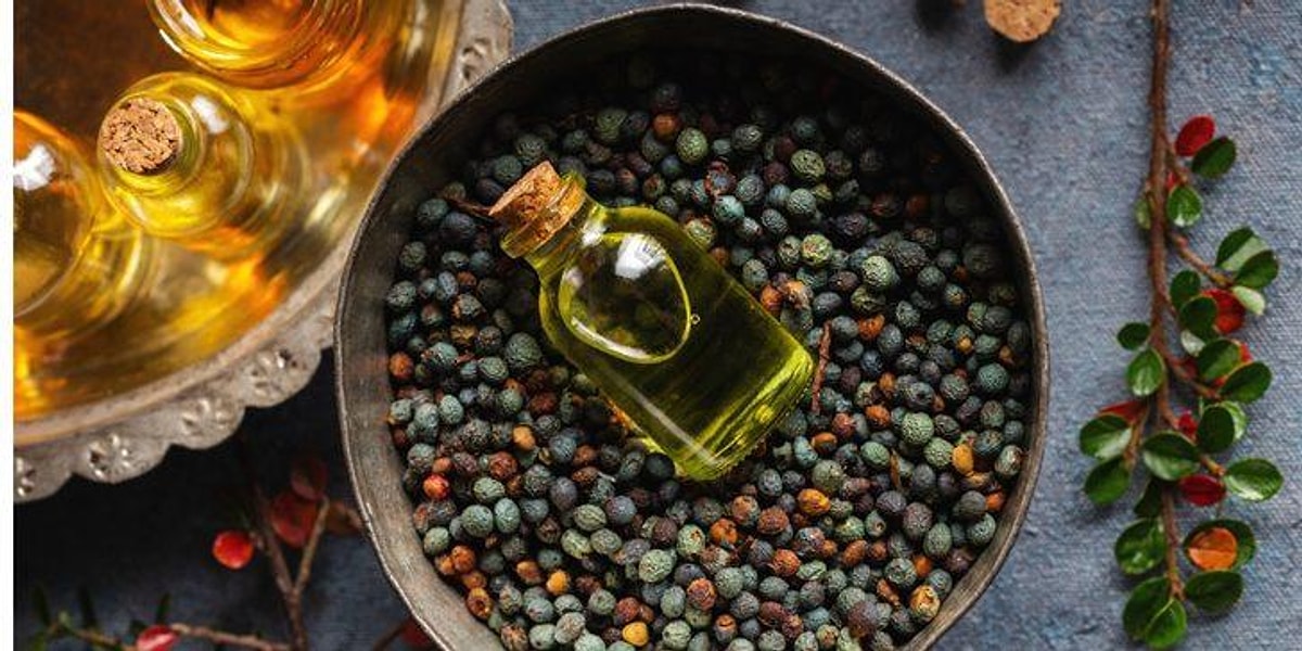 Menengiçin Faydaları: Doğanın Mucizelerinden Biri Olan Menengiç ...