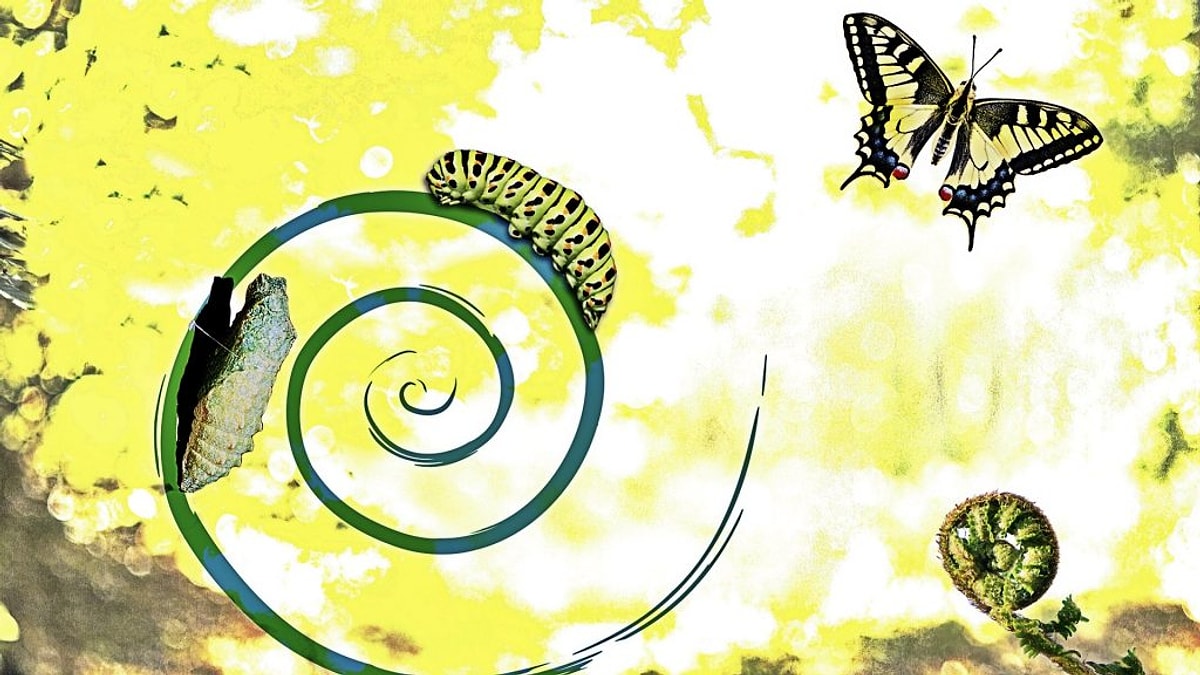 Mutatis Mutandis midir? - Onedio