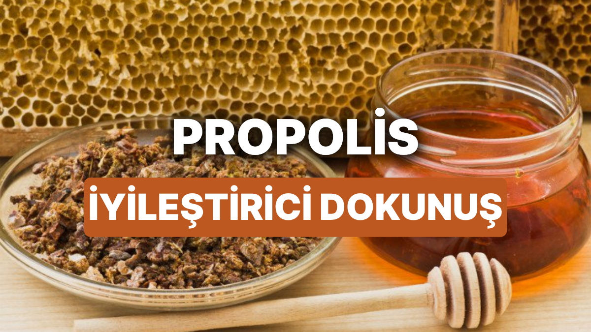 Propolis - Onedio