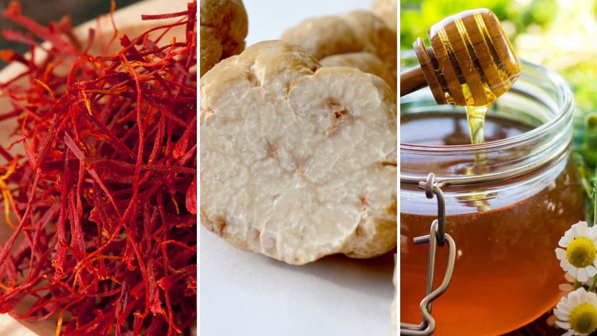 A Taste of Luxury: Unveiling the Top 5 Most Expensive Foods Worldwide ...