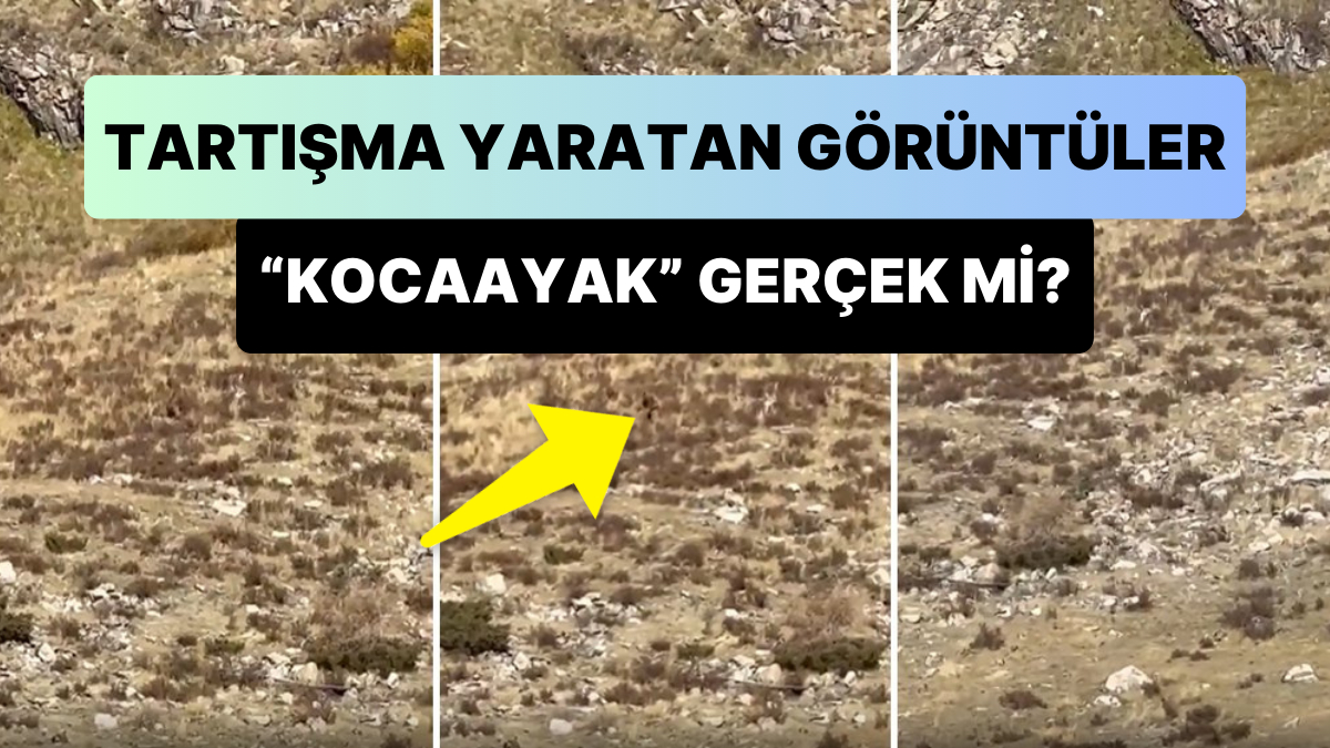 Efsanevi 'Kocaayak' Gerçek mi? Colorado'da Kaydedilen Görüntüler ...