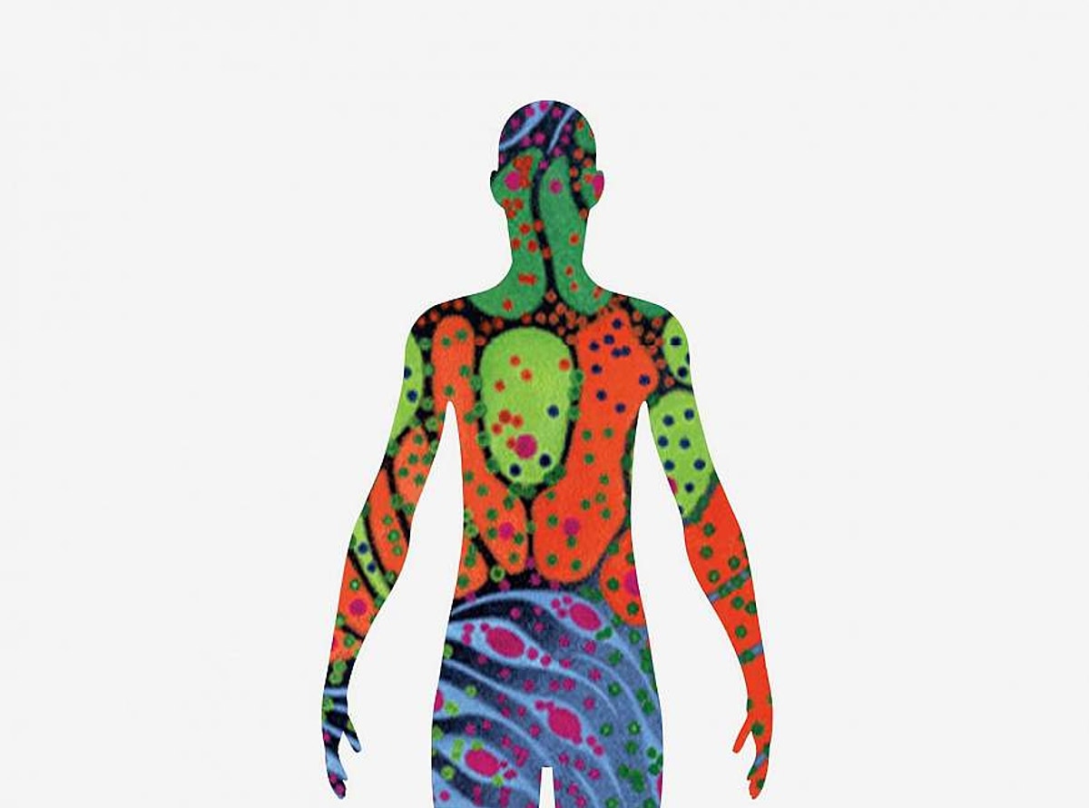 How Many Cells Do We Have in Our Bodies? Women vs Men - Onedio