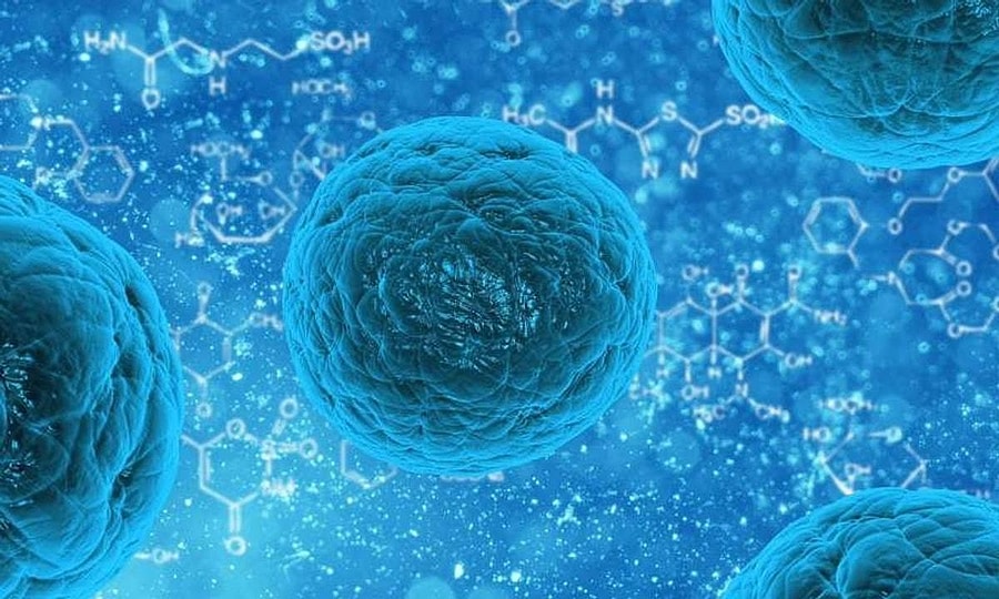 How Many Cells Do We Have in Our Bodies? Women vs Men - Onedio