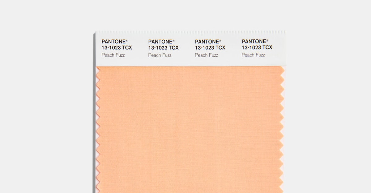 2024 Yılının Rengi Belli Oldu: Pantone 'Şeftali Tüyü'nü Seçti! - Onedio