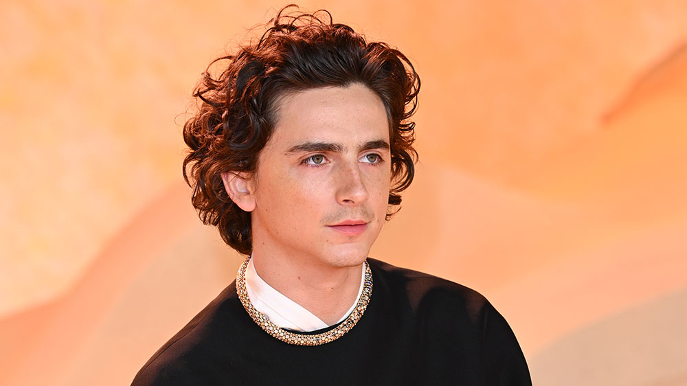 Timothée Chalamet Sets Historic Box Office Record in Cinema History ...