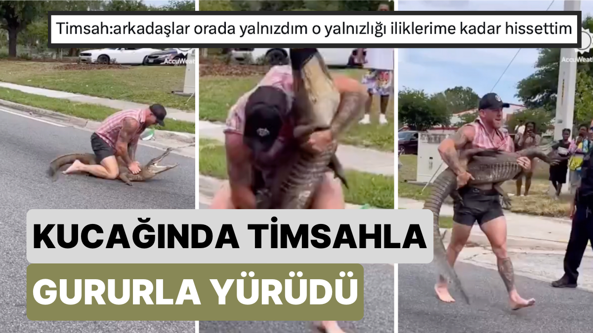Kucağında Timsahla Kahraman Gibi Yürüdü: MMA Dövüşçüsü Mike Dragich ...