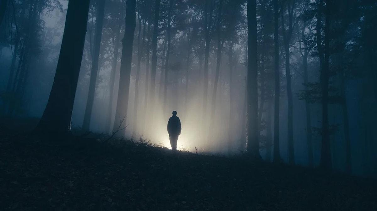 Nightmares and Terrifying Hallucinations May Indicate Untreatable ...