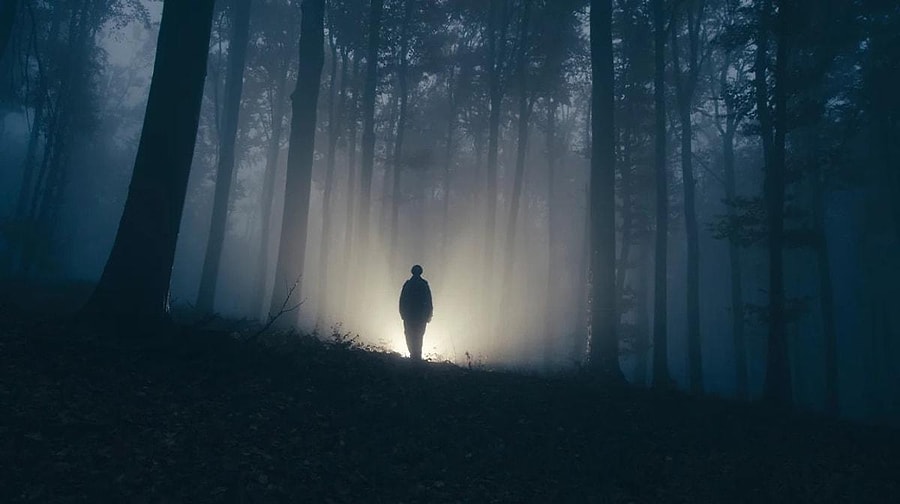 Nightmares and Terrifying Hallucinations May Indicate Untreatable ...