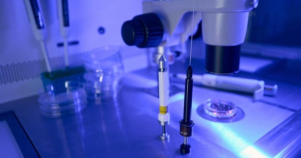 Studies Reveal That Human Testicles Contain Microplastics - Onedio