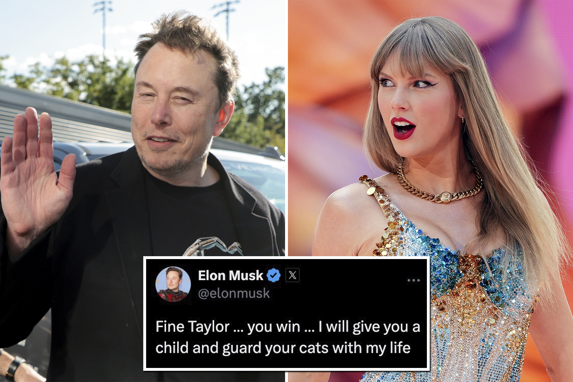 Elon Musk's Shocking Comment About Taylor Swift: 'I'll Give You a Child ...