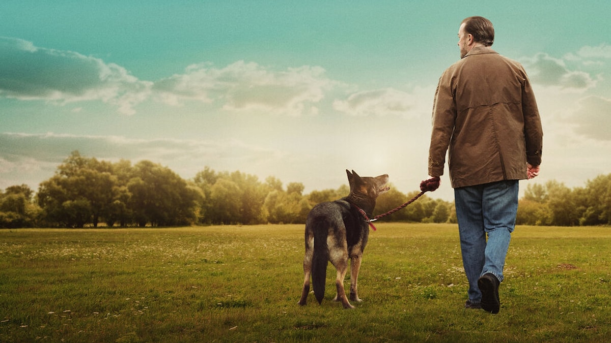 Ricky Gervais'ten After Life Hayranlarını Üzecek Haber: Dizinin Brandy ...