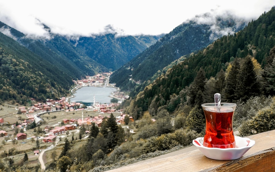 Turkish Tea Explained: Traditions and Brewing Tips - Onedio