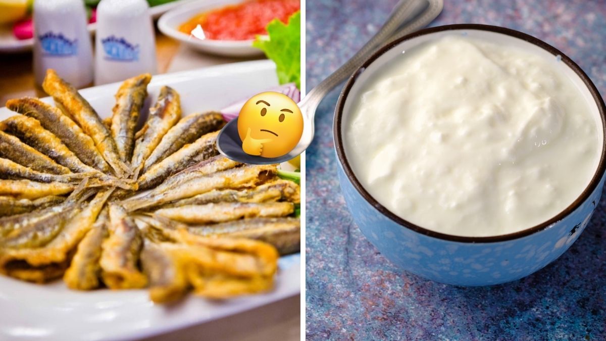 Is Eating Fish with Yogurt Really Poisonous? - Onedio