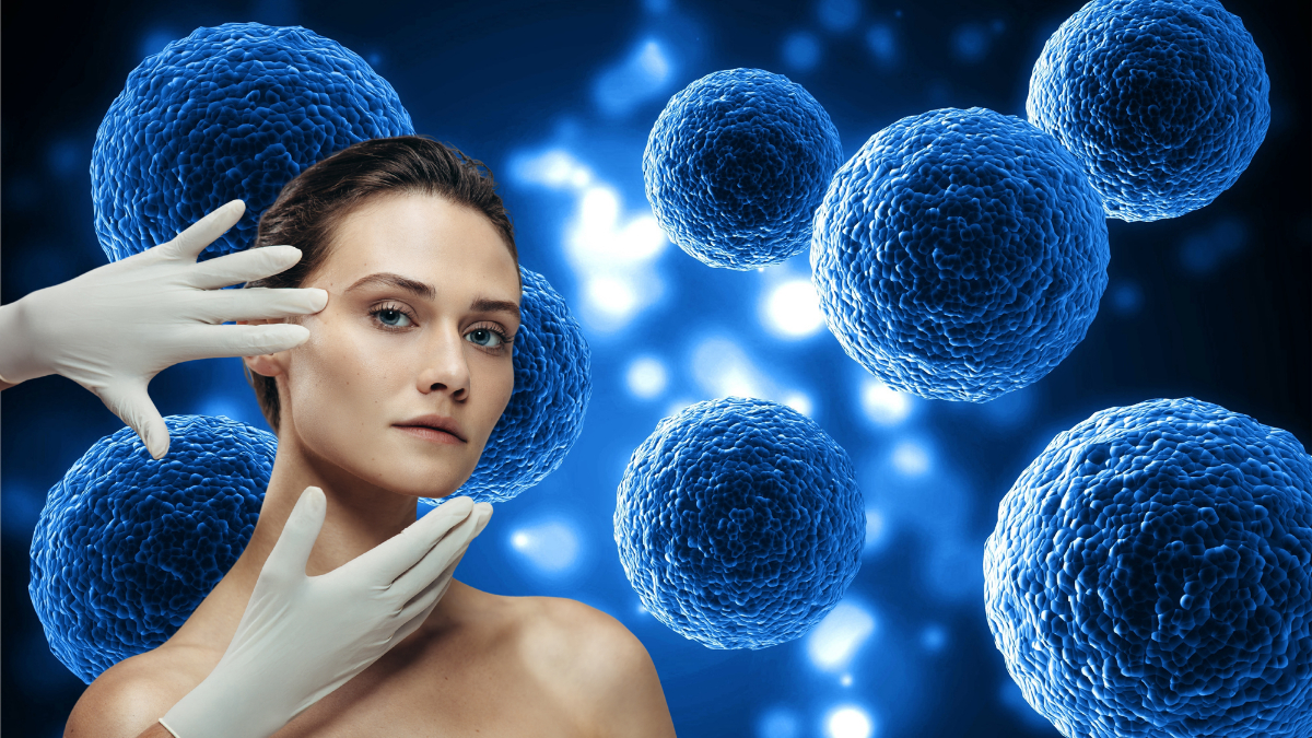 New Immune Cell Discovered That Slows Aging! - Onedio