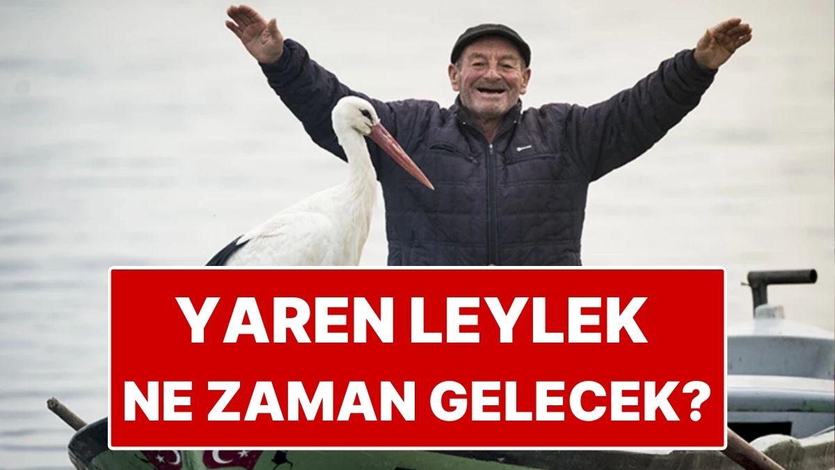 Yaren Leylek Geldi mi? Yaren Leylek Ne Zaman Gelecek? - Onedio