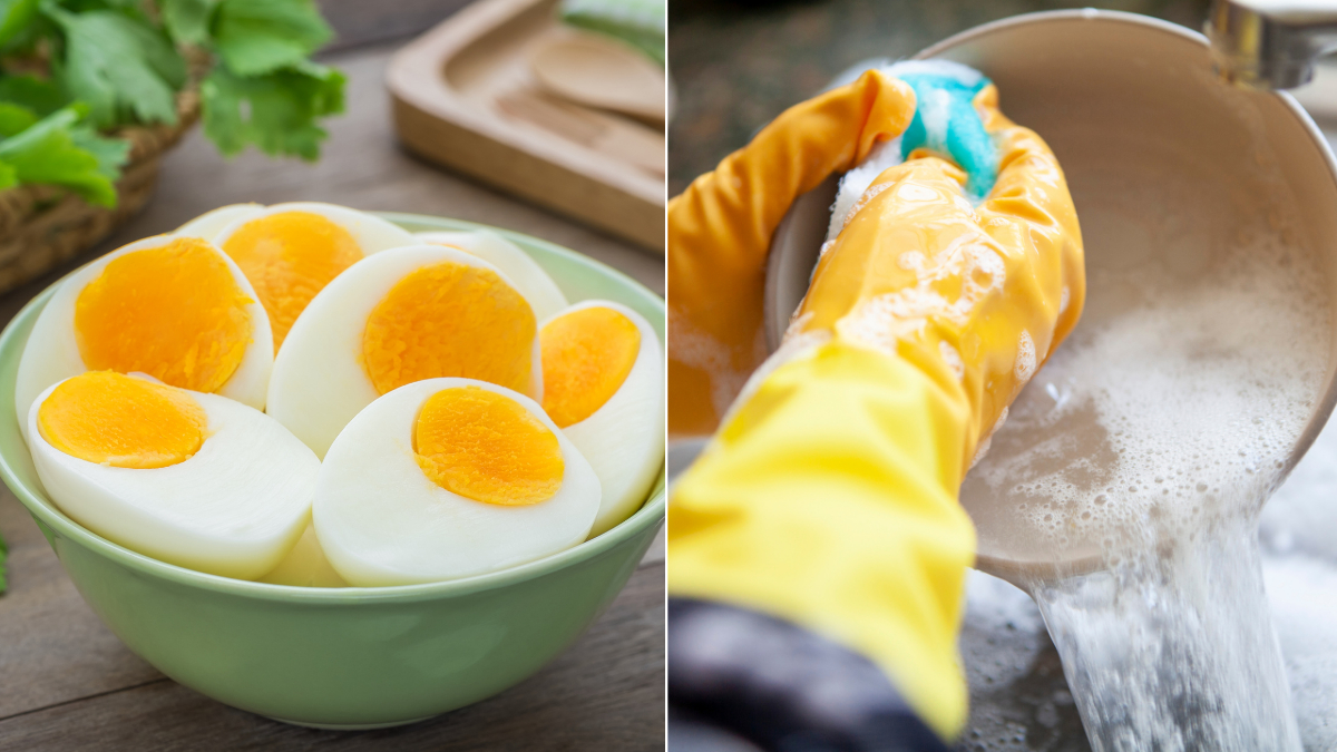 Harmless Ways to Get Rid of Egg Smell in Plastic and Glass Containers ...